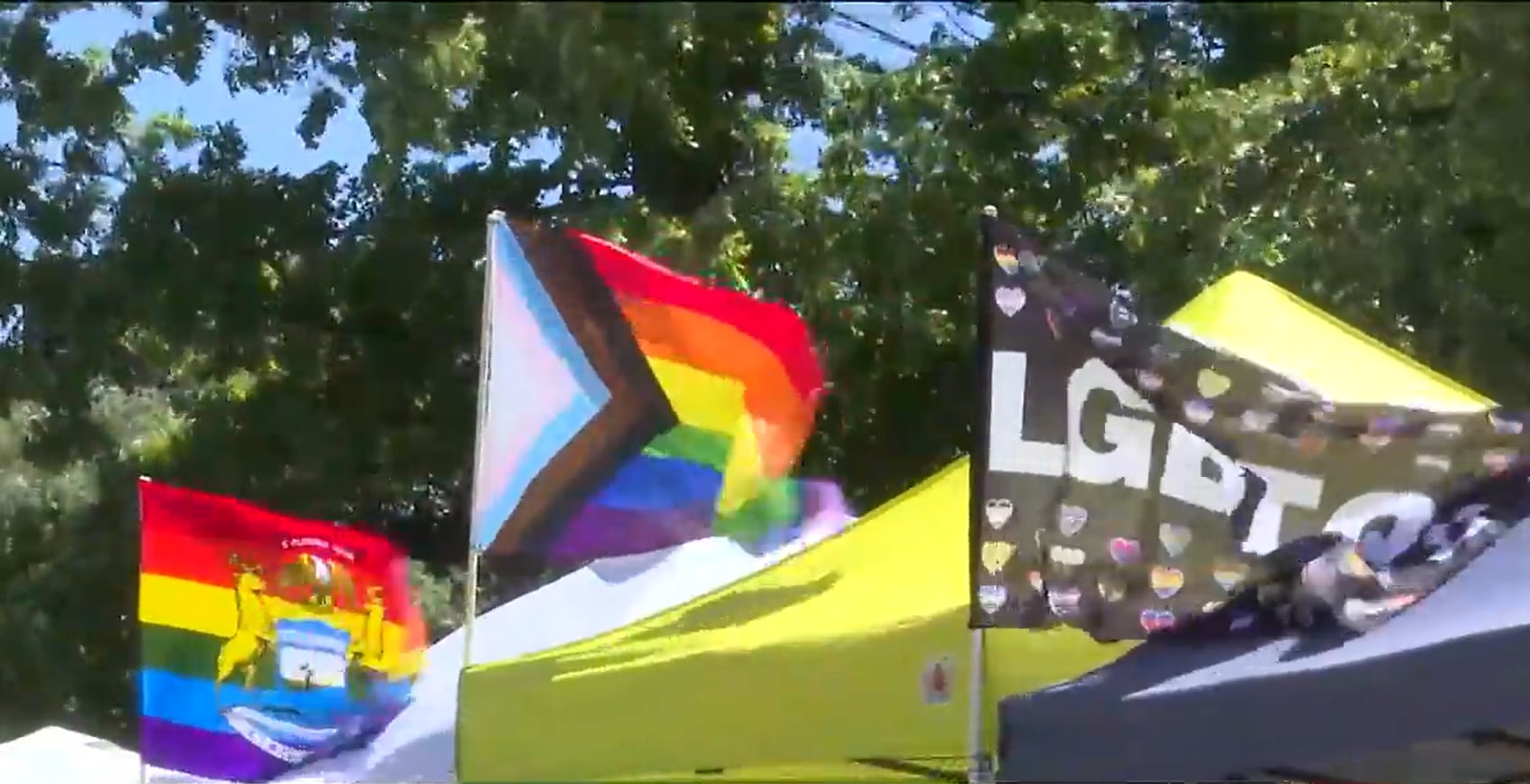 Owosso Pride celebration brings community together