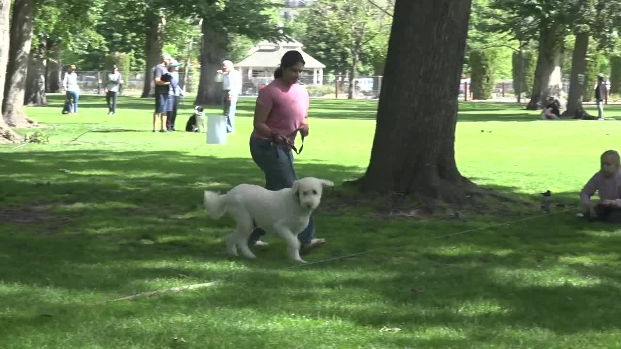 Idaho Chukar Foundation hosts rattlesnake, skunk and porcupine ...