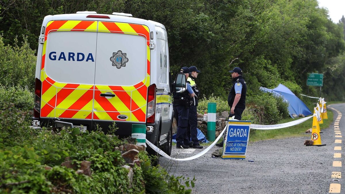 Man charged in connection with fatal stabbing of mother near Clifden ...