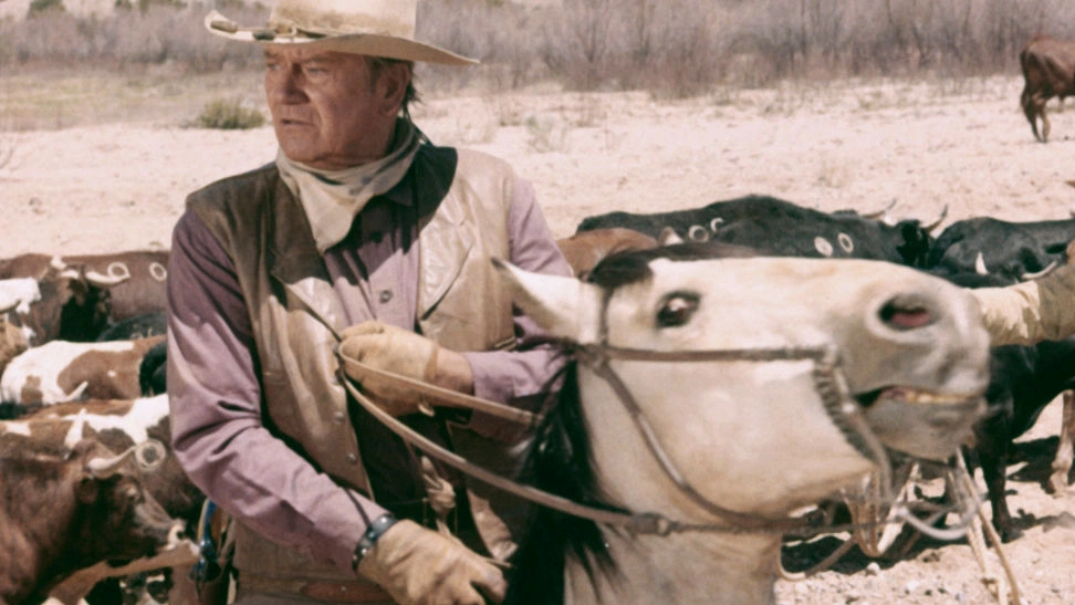 14 celebrities living the cowboy and ranch life