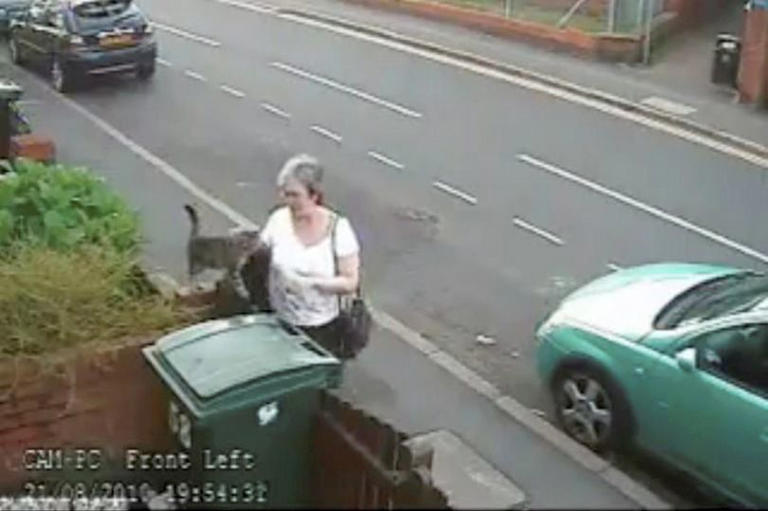 Woman who threw cat in bin 16 years ago living like 'recluse' after ...