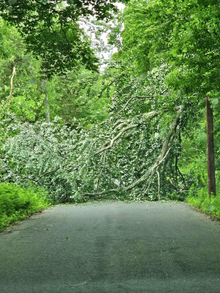 Thousands lose power across Connecticut as strong winds down trees ...