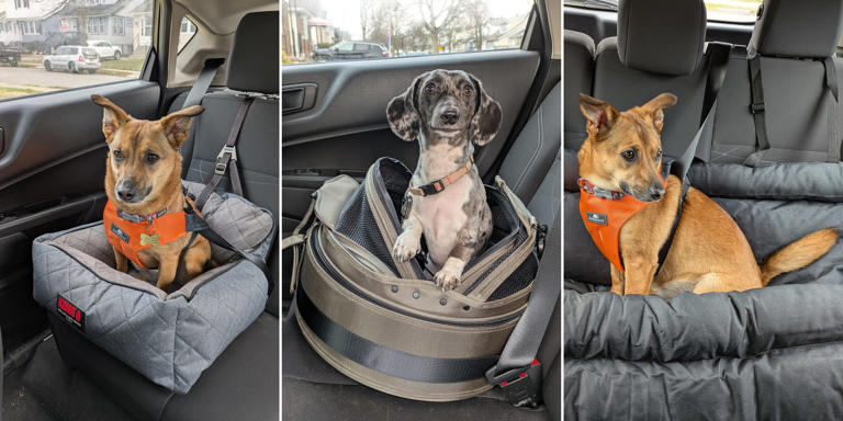 The best dog car seats for safer travel