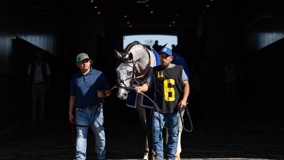 'He was sitting on a big race': Original Sin posts upset in Blame