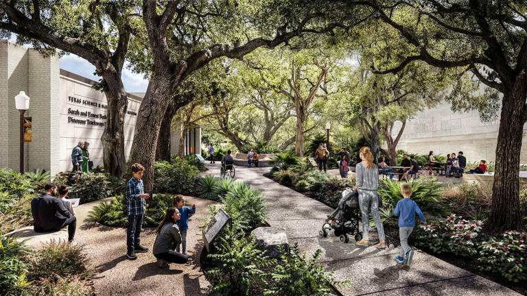 New Texas museum gets prehistoric, preserves 113-million-year-old ...