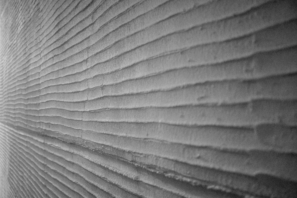 Why traditional construction is about to become obsolete