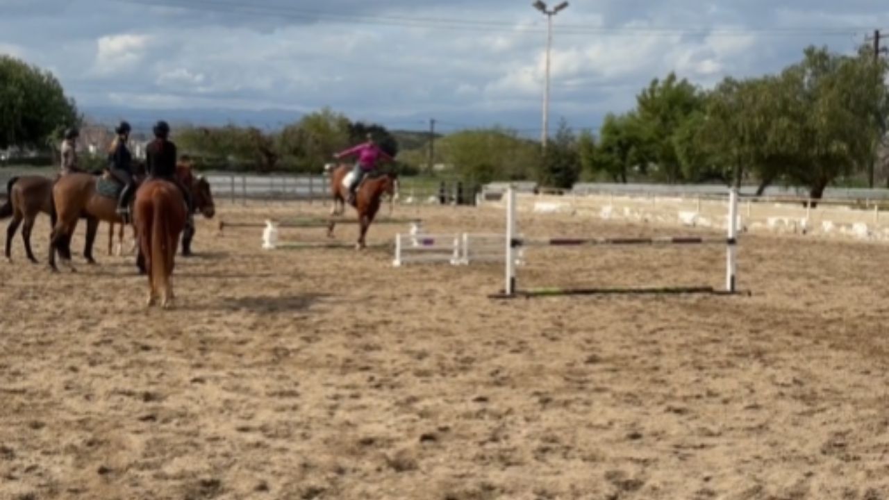 Girl falls off horse after releasing reins while riding through jump grid