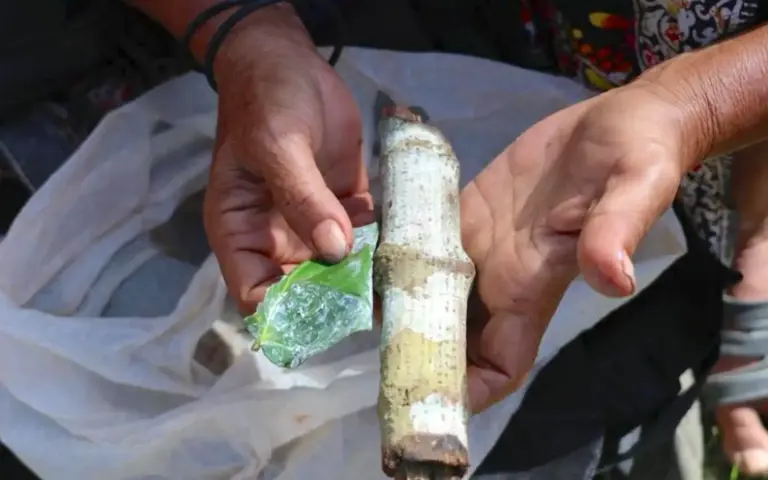 Is betel chewing slowly disappearing among Orang Asli communities?