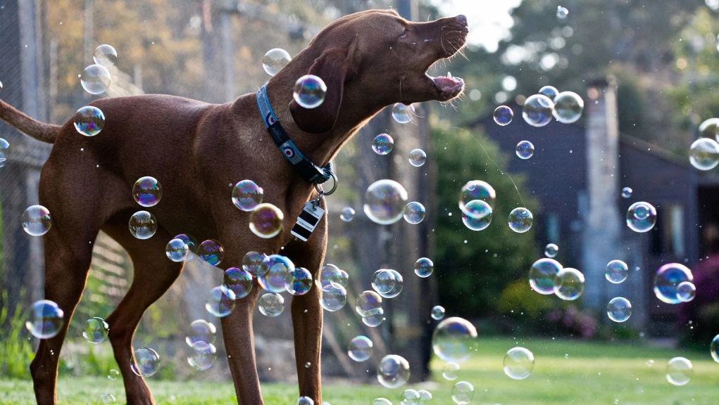 14 perfectly timed photos that capture rare moments