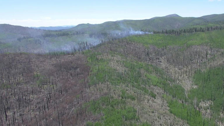 Hummingbird fire in Gila now at 90% containment
