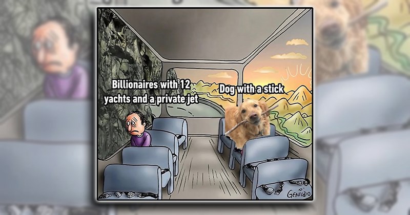 'Good boys get good memes': Dog memes to fill your morning cup with ...