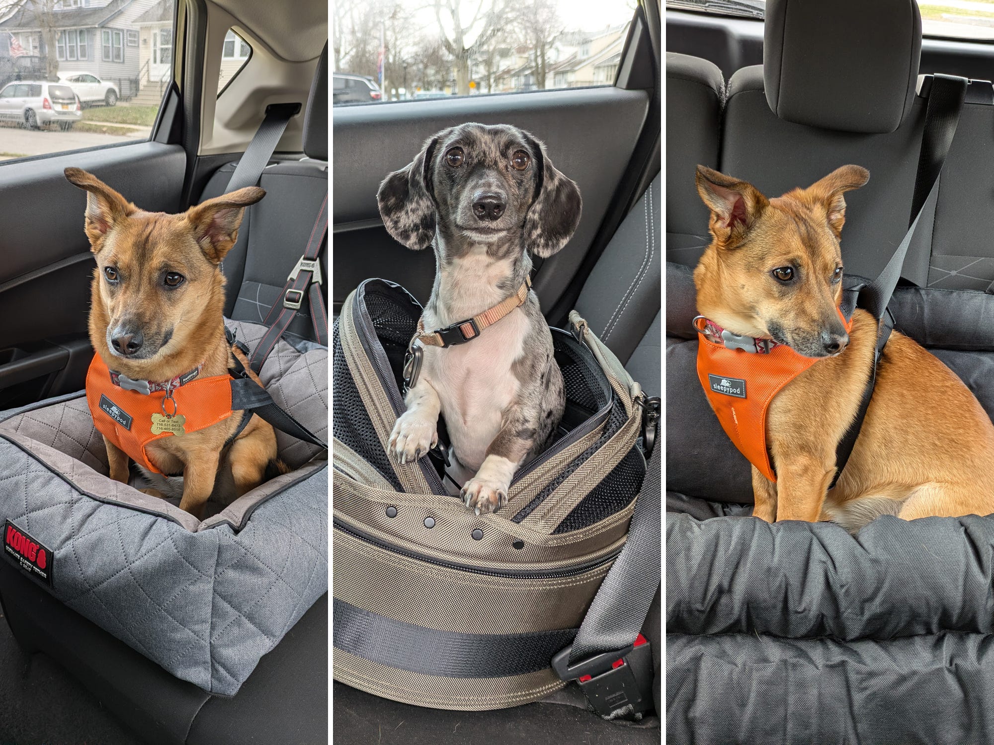 The best dog car seats for safer travel