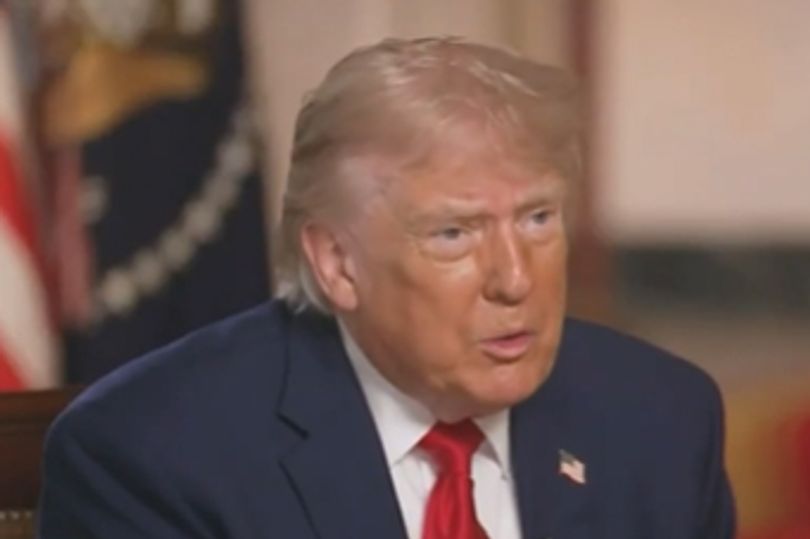 Donald Trump branded 'ignorant pig' as he claims 'people don't know ...