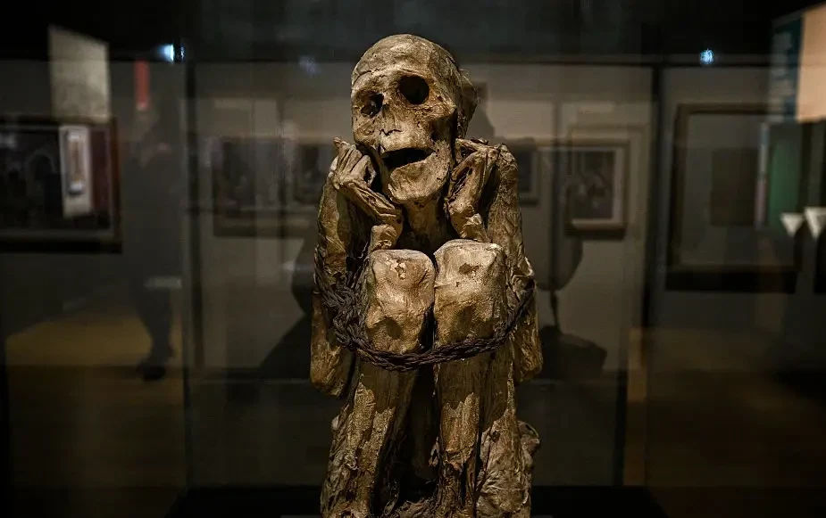 DNA tests on Peru conehead mummies remain inconclusive