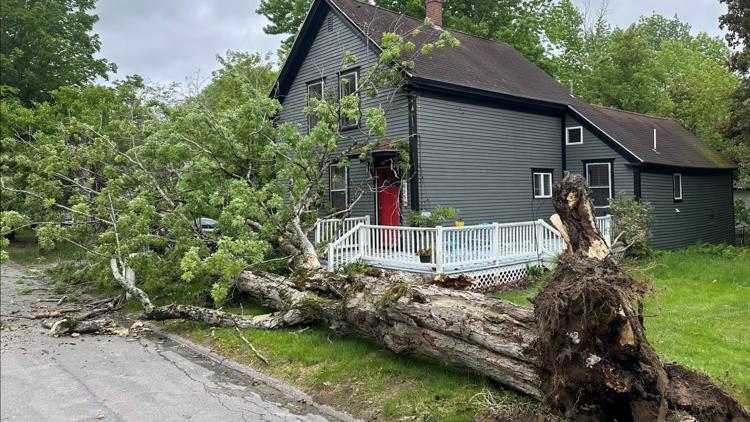 Strong winds Saturday morning knocked down trees, power lines in at ...