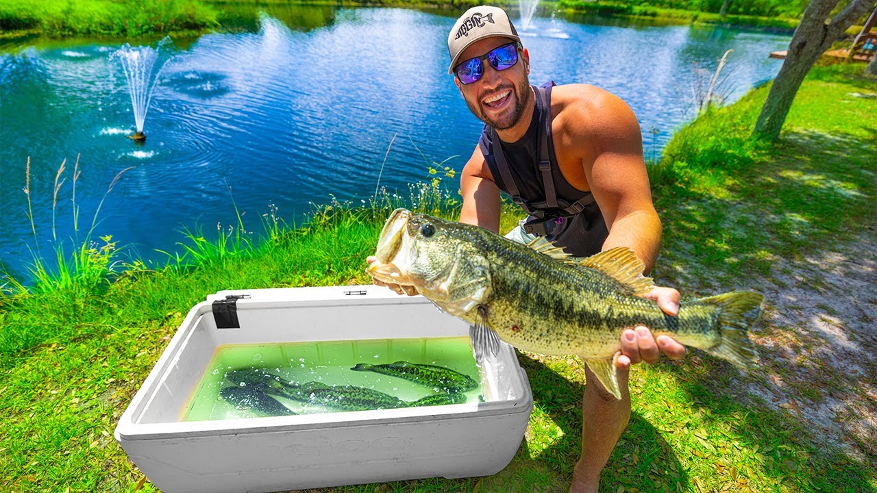 I moved my giant pet bass to a new pond!
