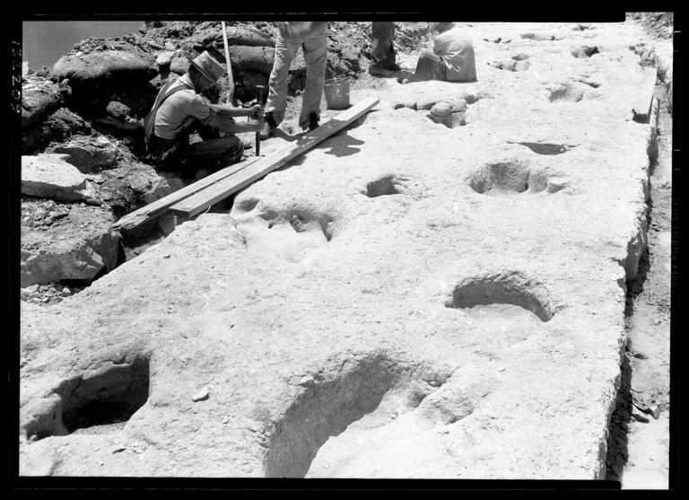 New Texas museum gets prehistoric, preserves 113-million-year-old ...