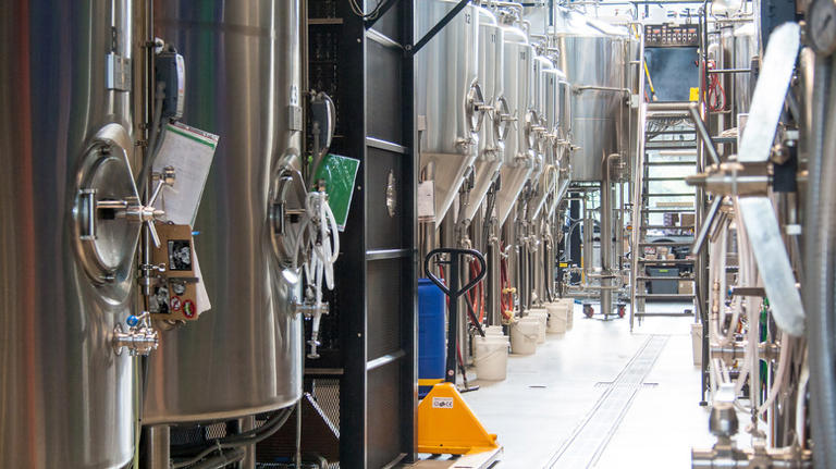 This craft beer put New England's IPAs on tap across America