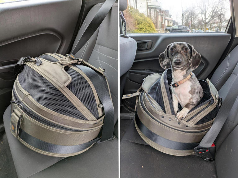 The best dog car seats for safer travel