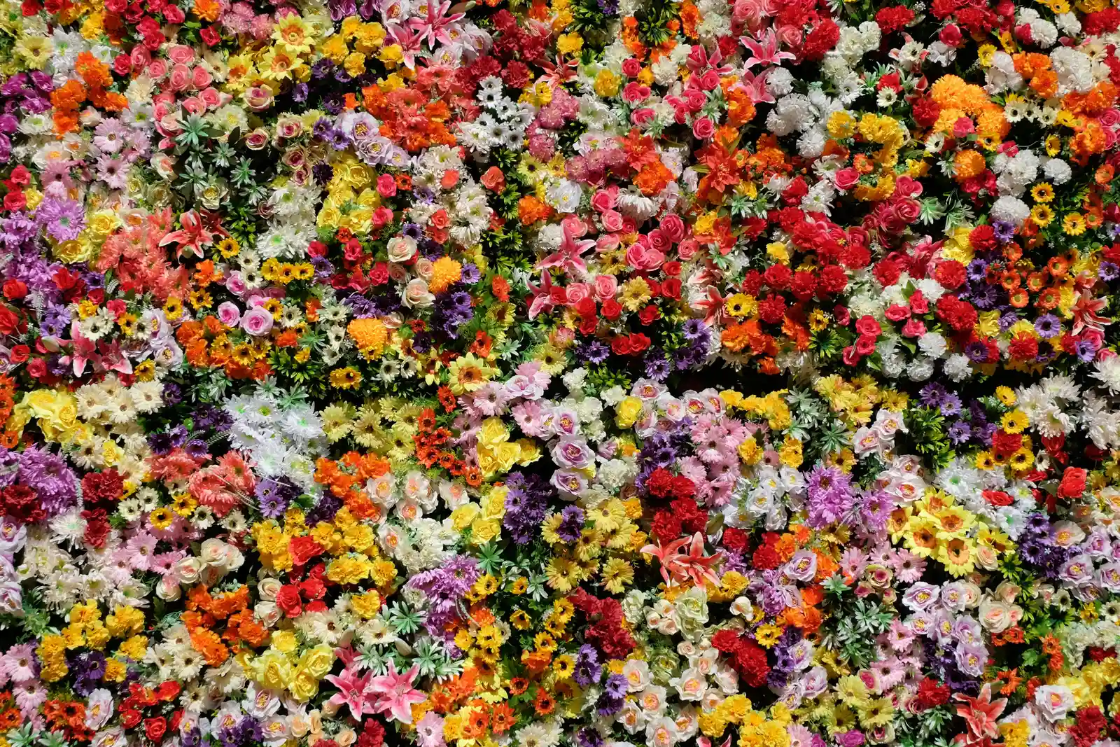 Easy seed saving rewards flower gardeners year after year
