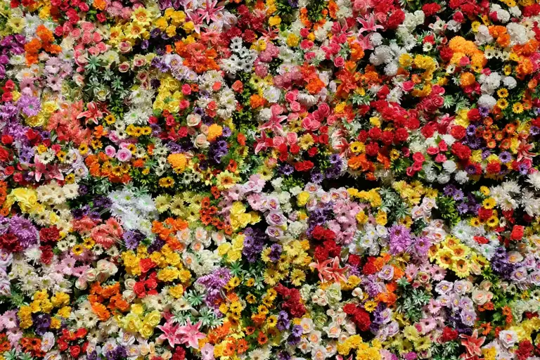 Easy seed saving rewards flower gardeners year after year