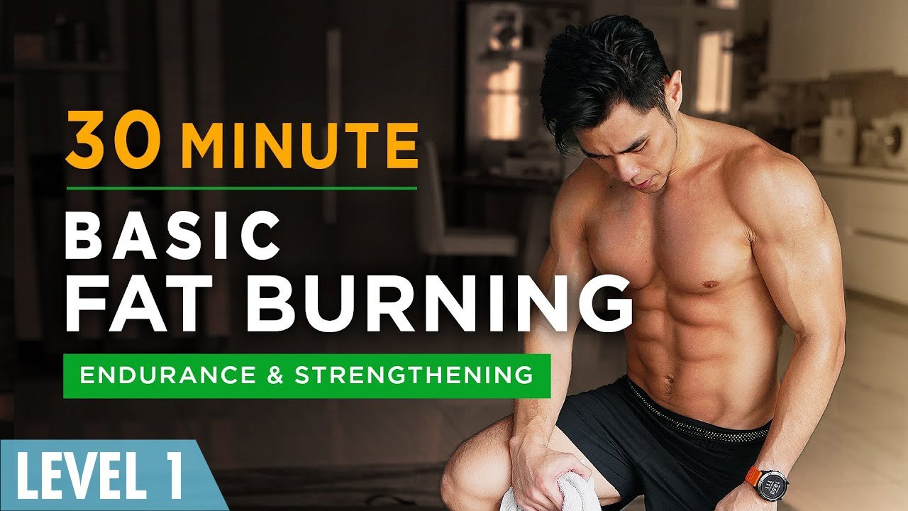 [Level 1.5] 30 minute lite full body workout!