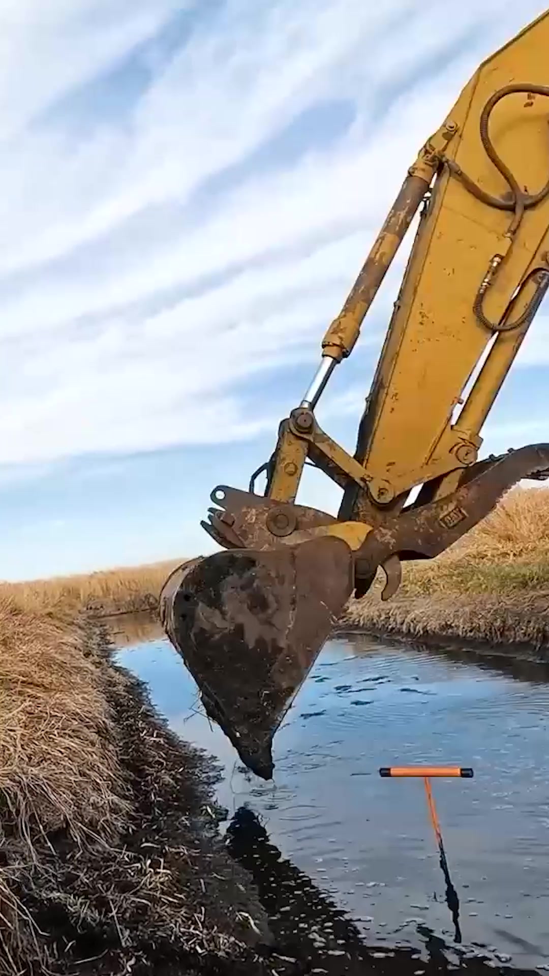 Searching the fields for a solution