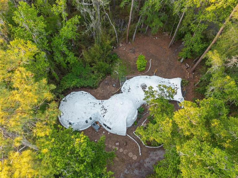 Foam dome home with ‘not a single straight line’ hits the market in ...