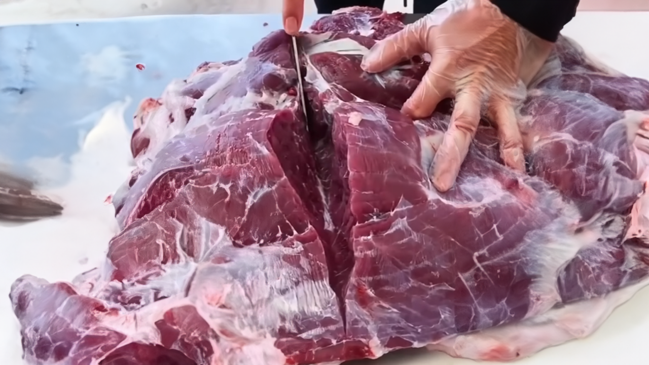 Doctor reacts to viral squirming meat video