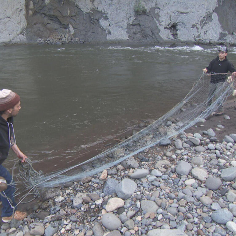 Protecting salmon preserves a way of life for a Pacific Northwest tribe