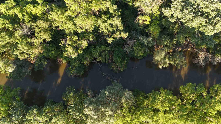 Tunca Nehri’nde 2 arkadaşın cesedi bulundu