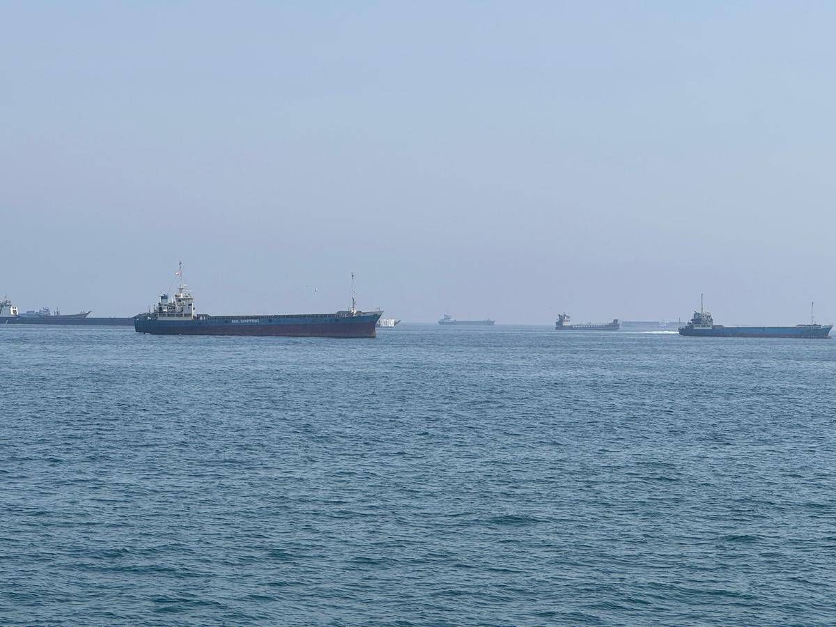 Non solo petrolio, la guerra tra Iran e USA blocca i pistacchi: stop ...