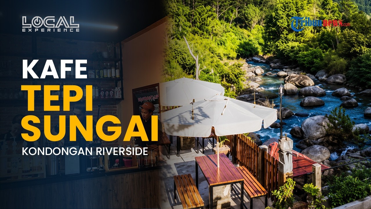 Hidden gem di Tana Toraja! Nongkrong di kafe estetik di tengah hutan ...