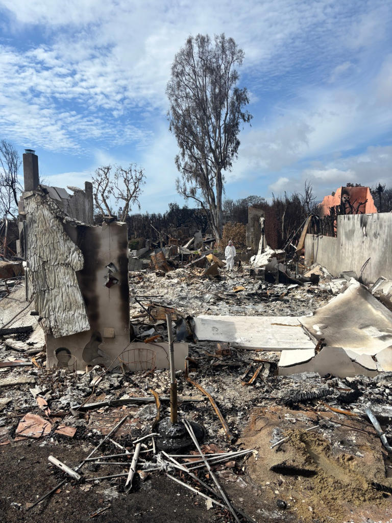 Palisades fire victim on 'heartbreaking' theft as crime surges in ...