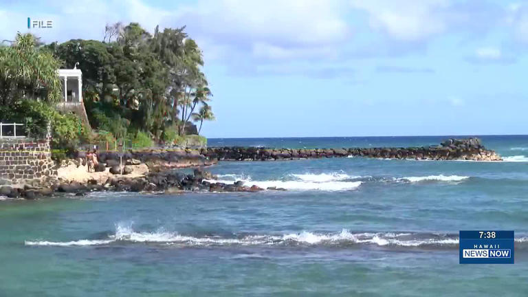 Man seriously injured in shark attack at Cromwell’s Beach