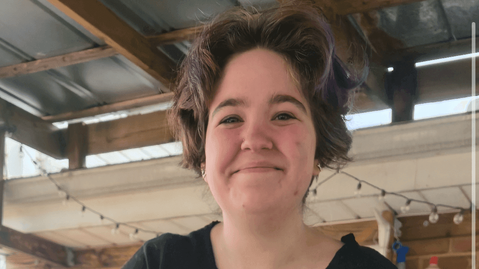 Roanoke County Police search for missing 16-year-old
