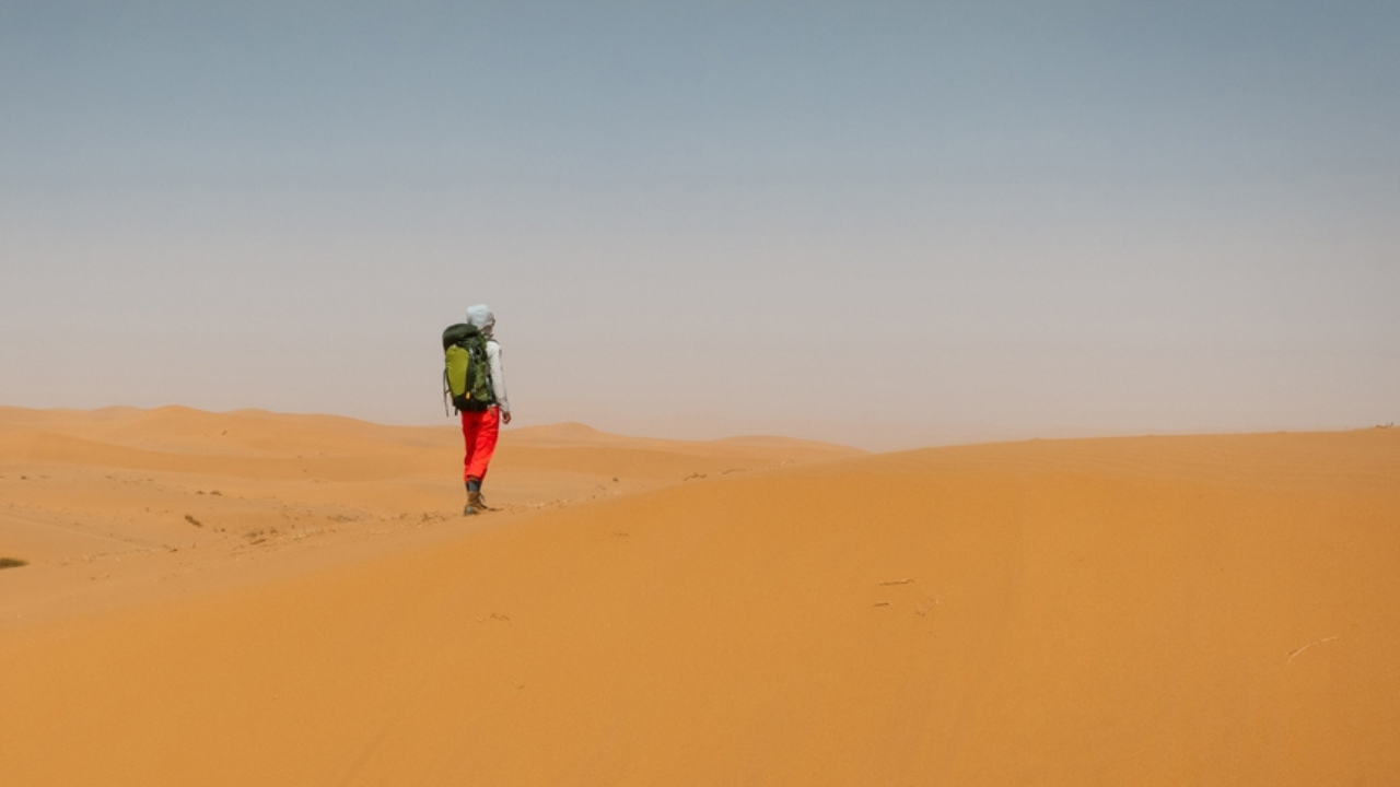 16 best desert hikes with short trails and wide open views