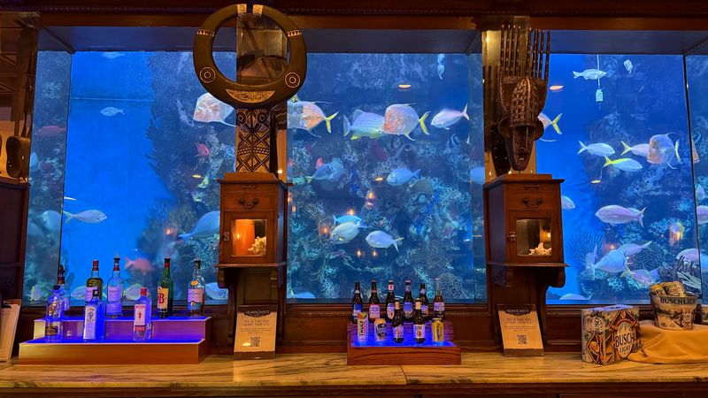 Dine surrounded by a giant saltwater aquarium at this Missouri ...