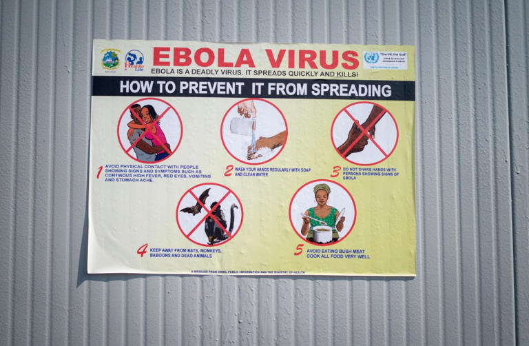 JFK joins growing list of US airports to screen passengers for Ebola