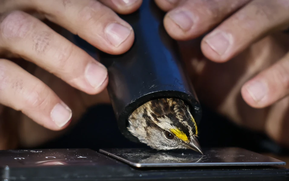 Study finds human presence alters wildlife behavior across US