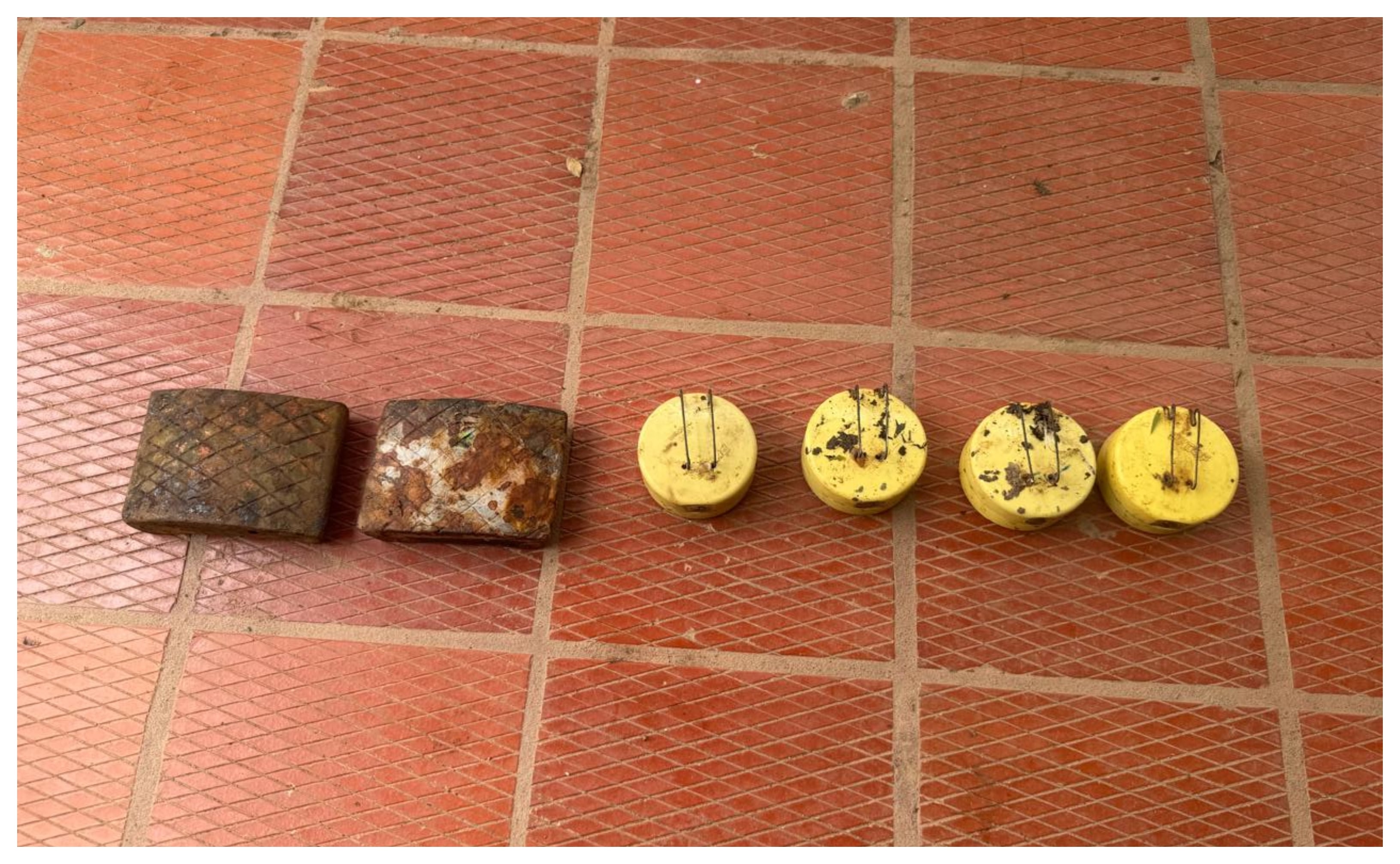 Hallan explosivos en cuerpos de disidentes muertos en San José del ...