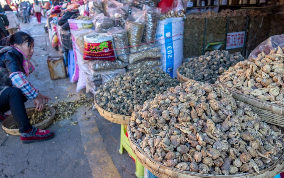 Why maca root is trending for wellness lovers