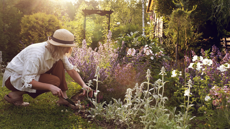 It originated in Germany centuries ago: The garden trend that's back in ...