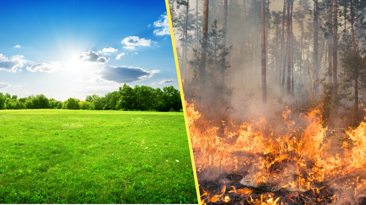 The pros and cons of an El Niño summer across Canada