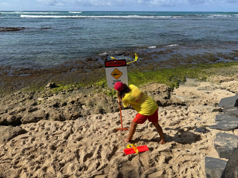 Man, 38, seriously injured from apparent shark bite; multiple warnings ...