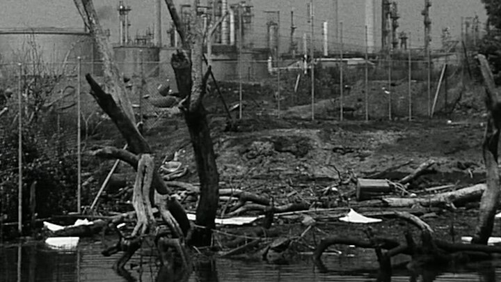 University students bioremediate Agent Orange chemicals manufactured ...