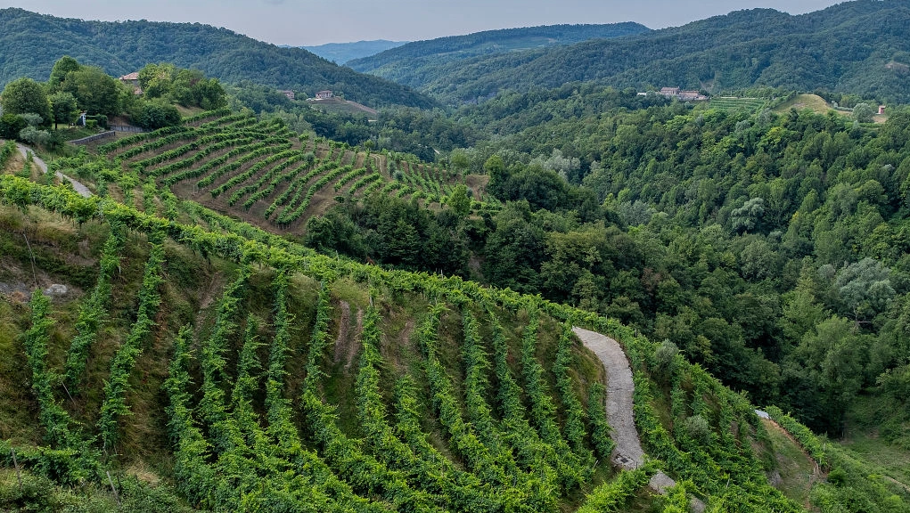 Prosecco Hills offer serene alternative to Venice crowds