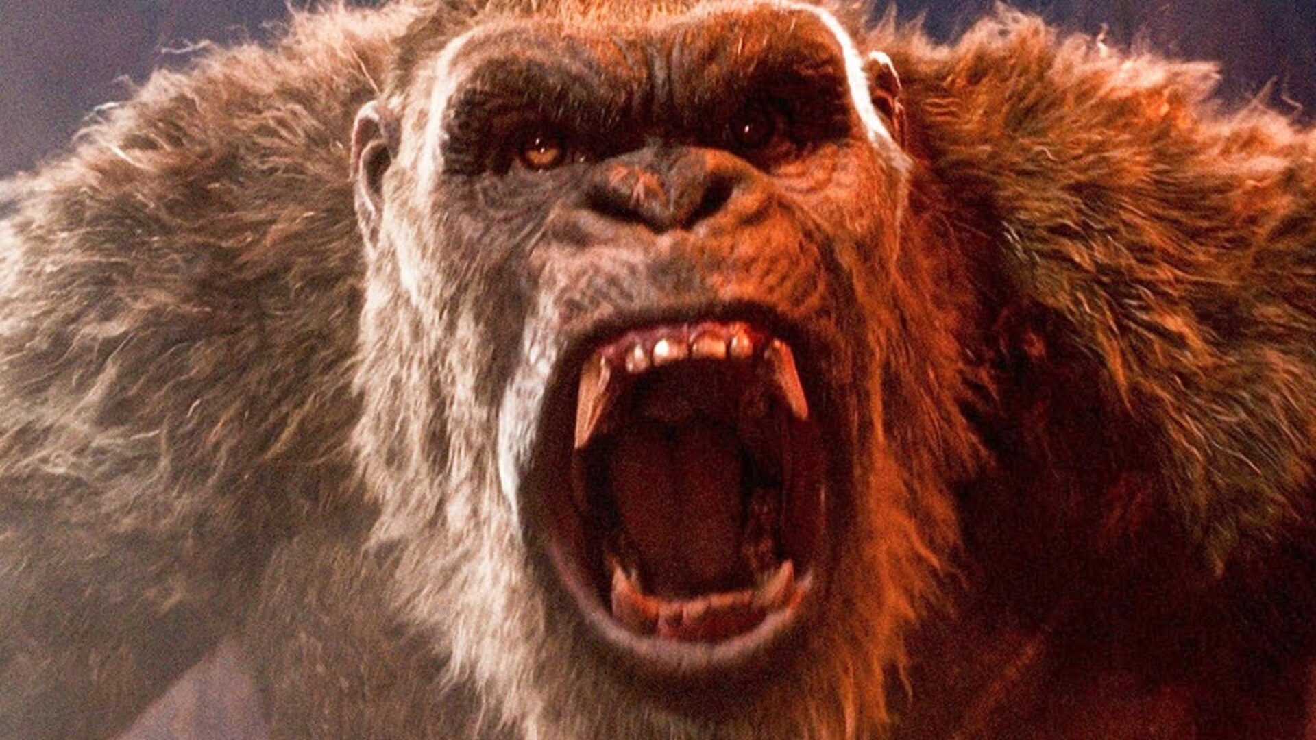 Small details you missed in Godzilla vs. Kong