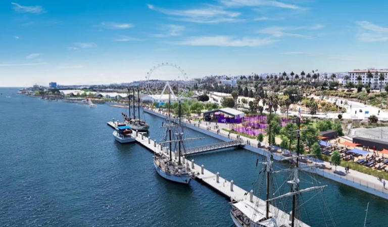 Record-breaking Ferris wheel will be part of $500M LA Waterfront ...