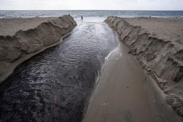 What is the fecal bacteria Enterococci and why does it impact beaches?